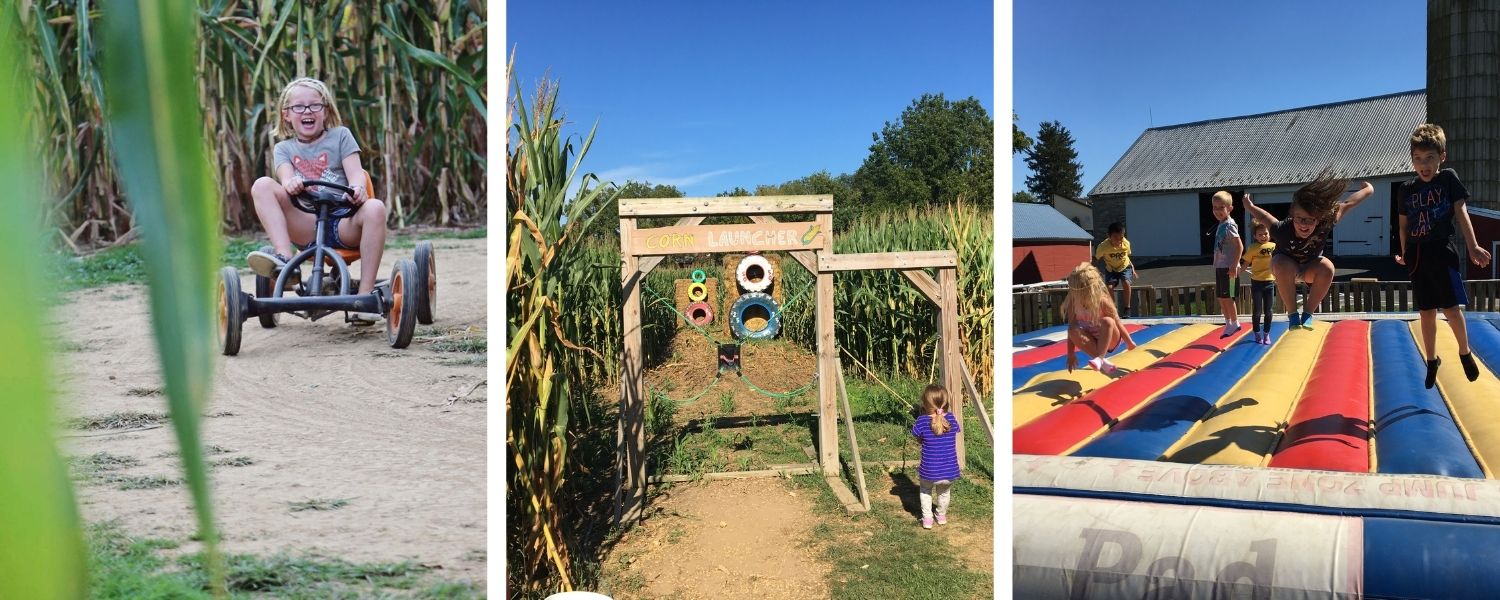 2020 Standard Corn Maze