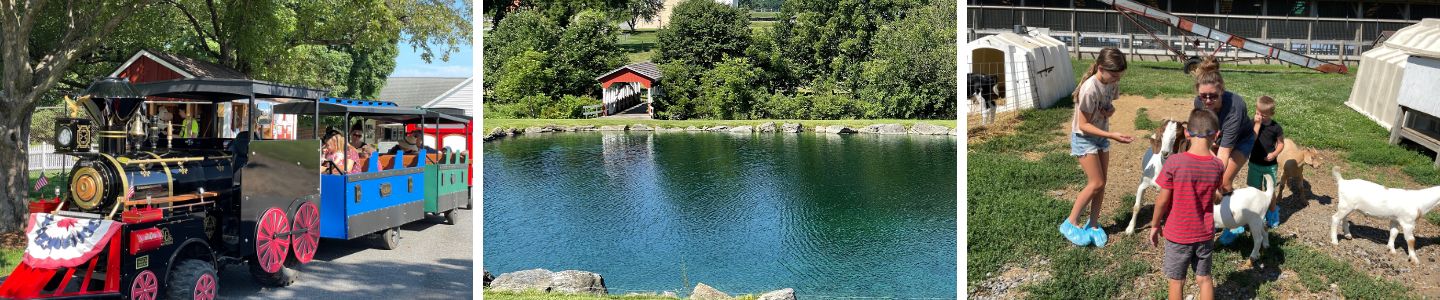 2024 Barnyard Express