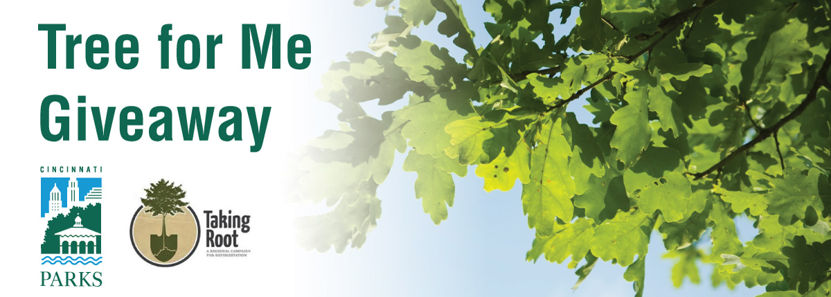 Cincinnati Parks and Taking Root's Tree for Me Giveaway