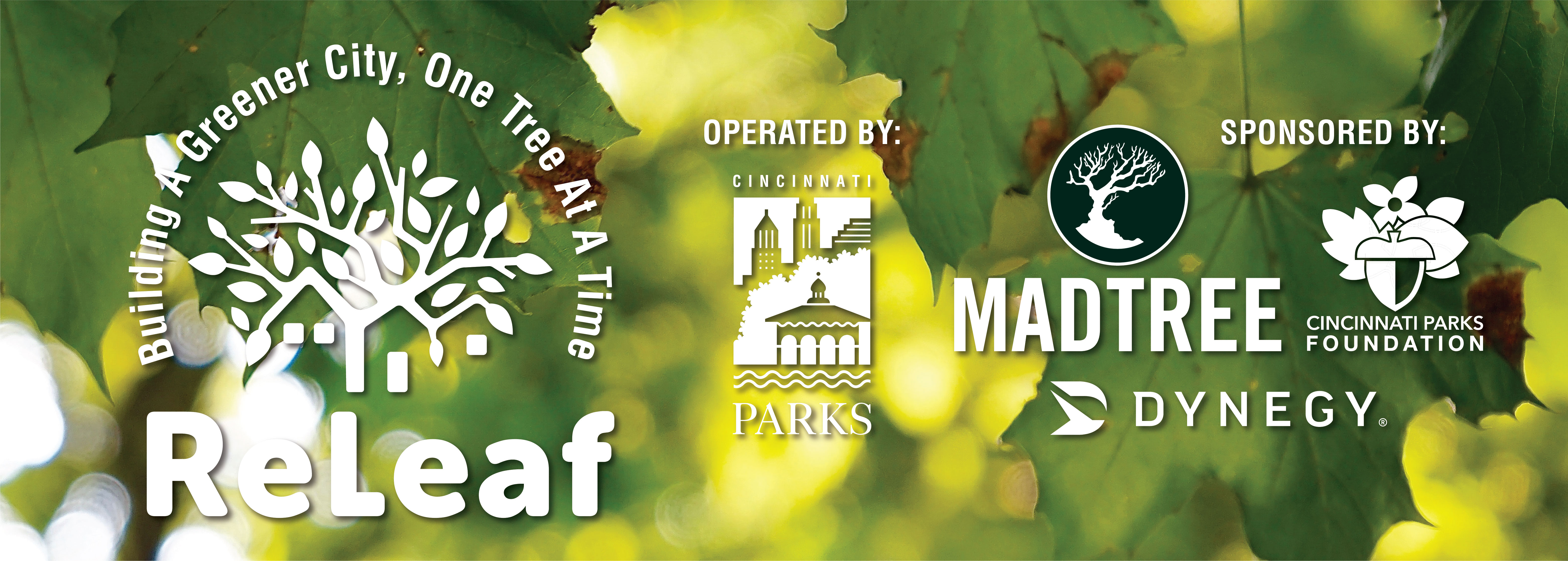 Cincinnati Parks ReLeaf 2024