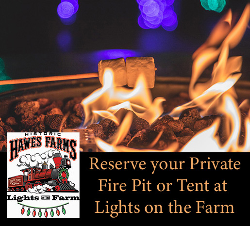 Lights on the Farm 2023