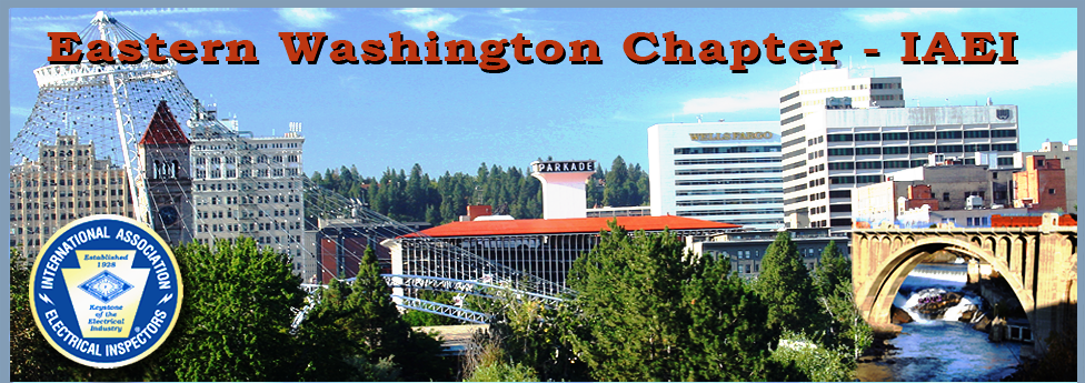 IAEI ANNUAL MEMBERSHIP