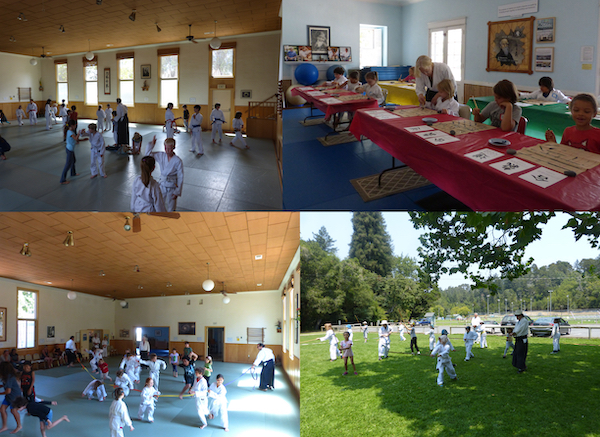 Aikido summer camp for kids