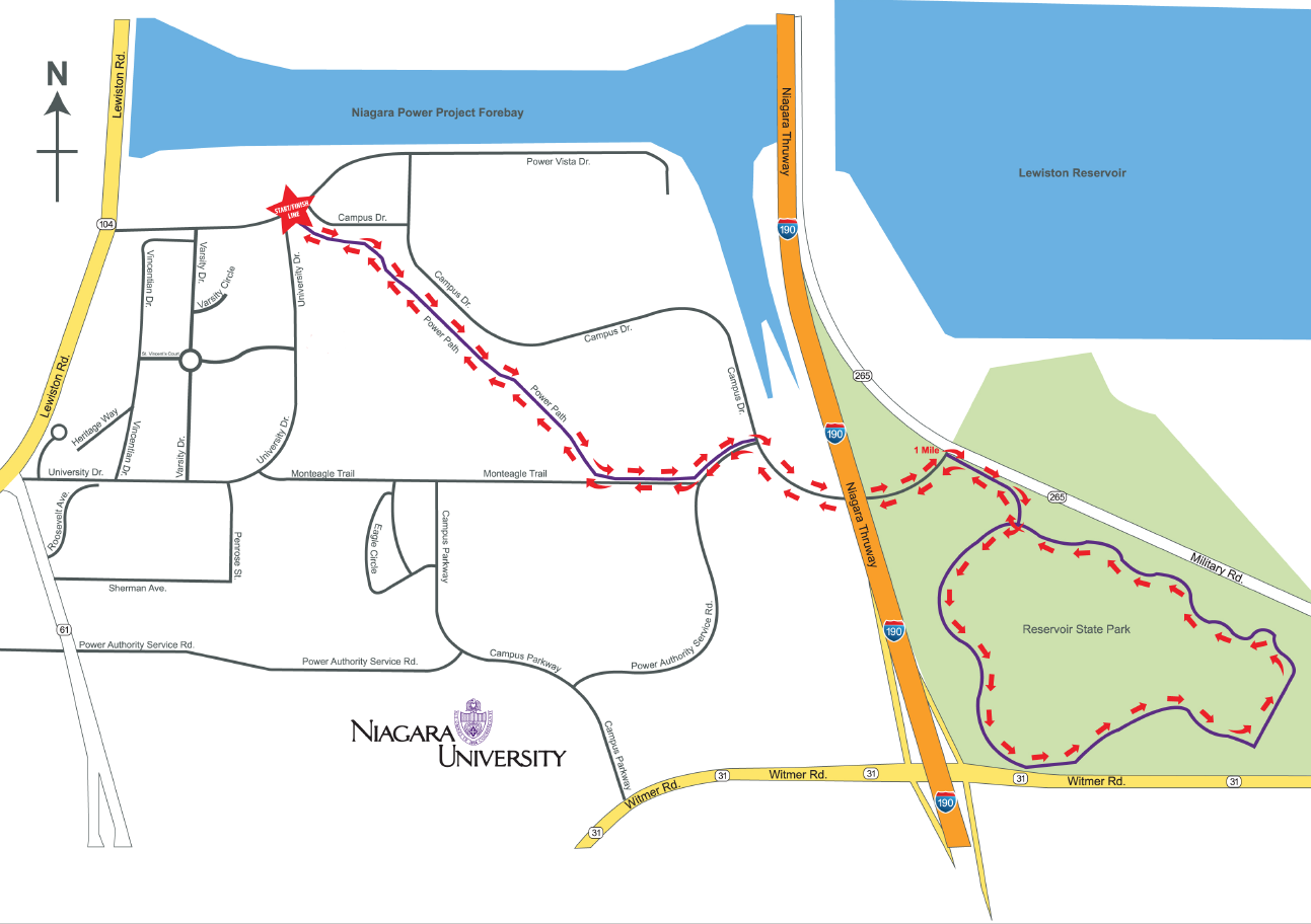 2020 Niagara Virtual 5K