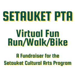 Setauket Rocks PTA Virtual Fun Run/Walk