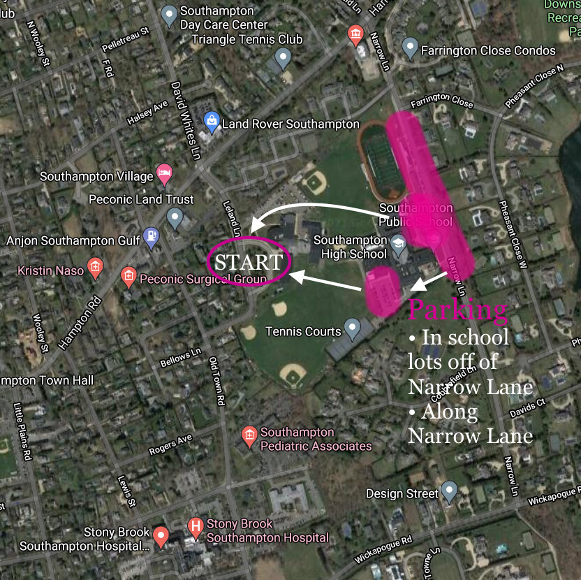 2025 The 30th Annual Ellen's Run: An Event of The Ellen Hermanson ...