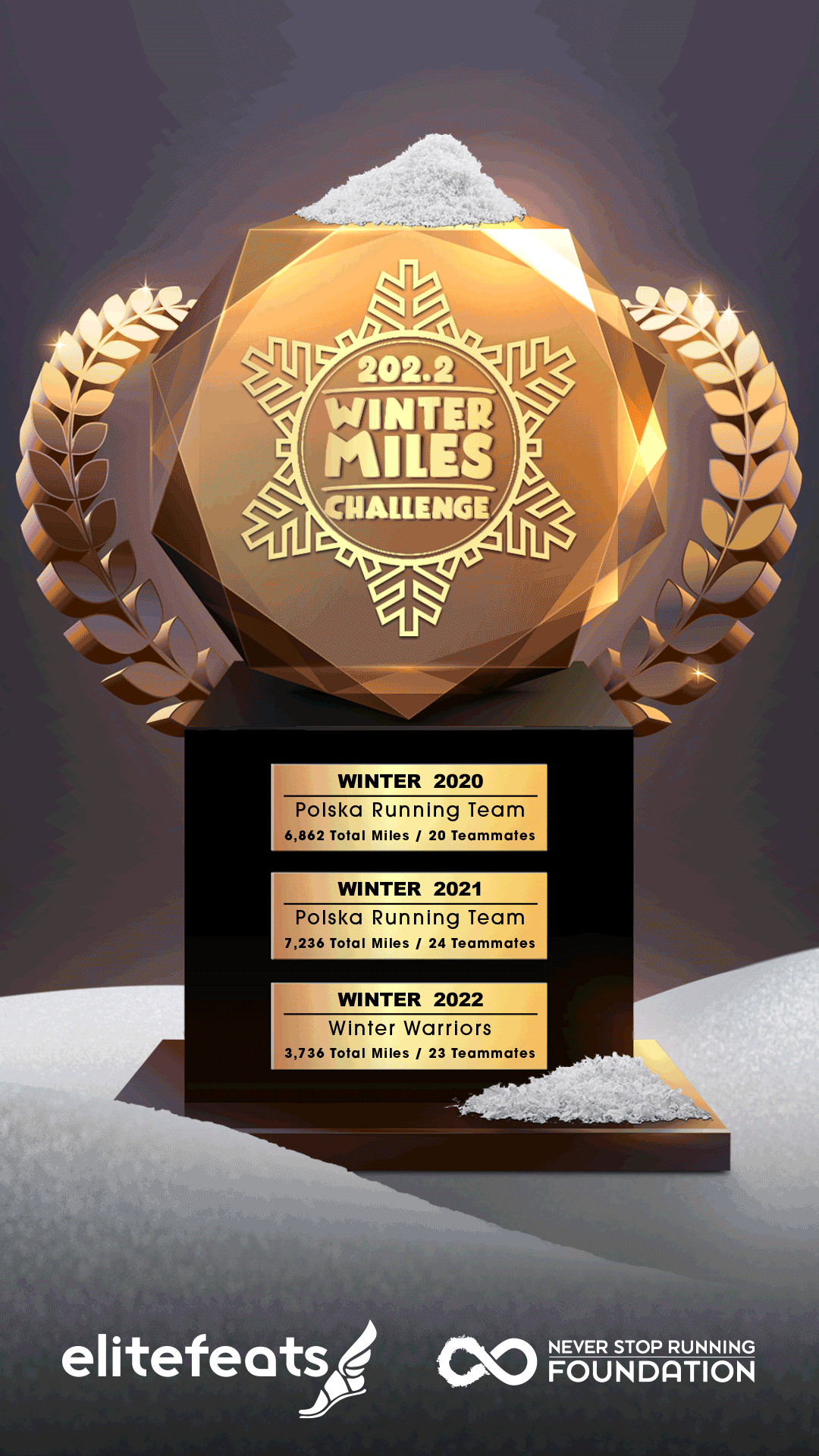 2023 Never Stop Running Foundation Winter Miles Challenge