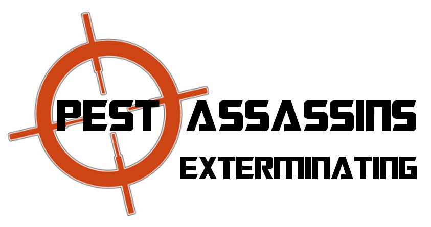 2024 4th Annual Butterfly 5K & Kids Fun Run