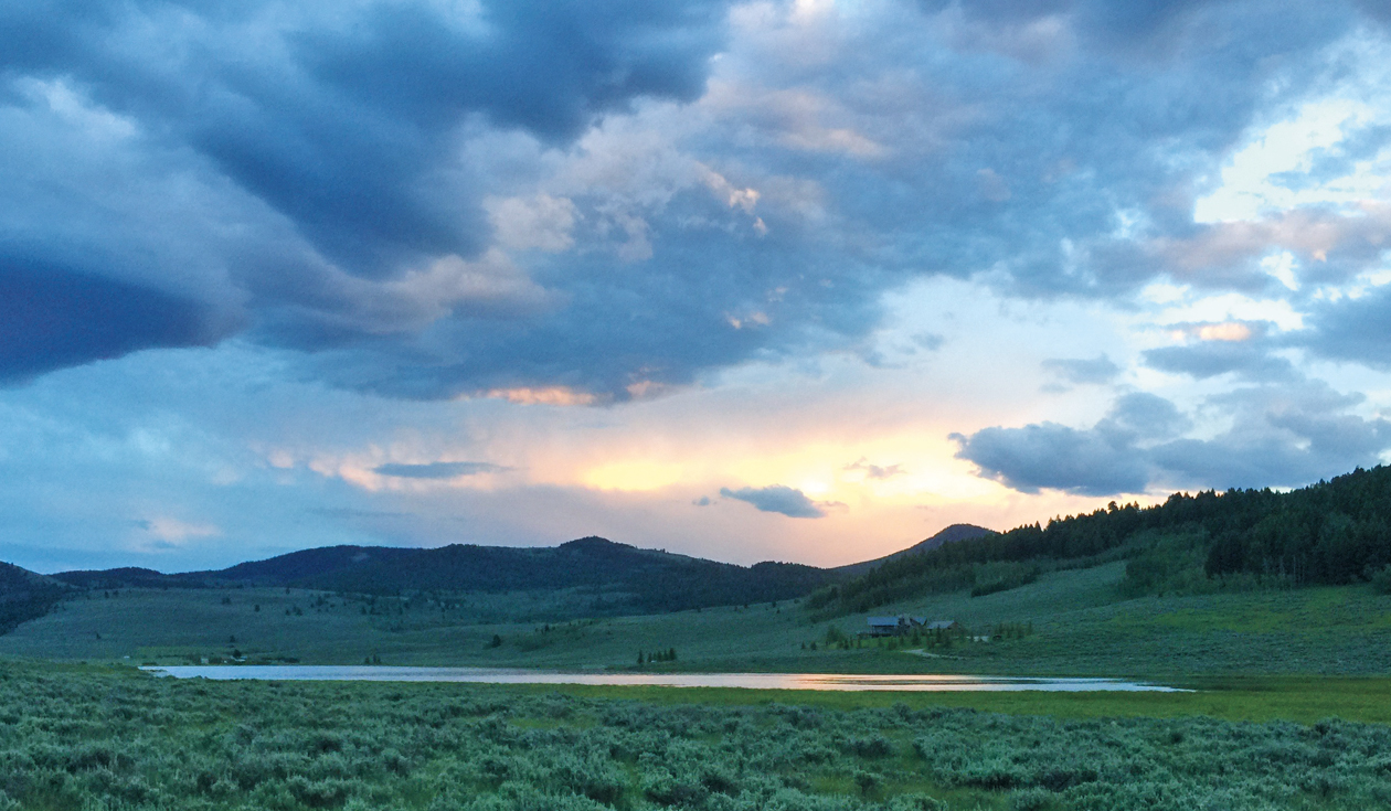 The Wild Adventure Beyond Wild Payment Page