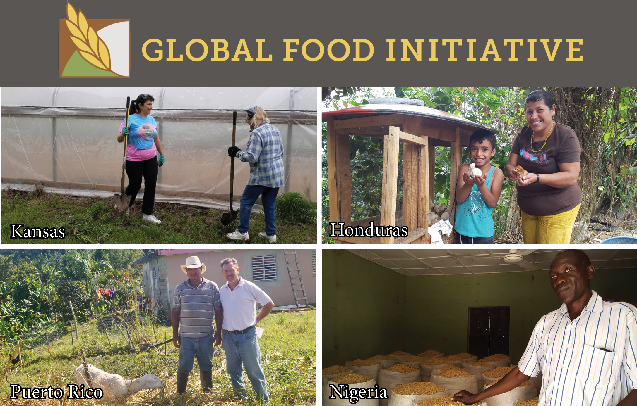 Give to Global Food Initiative