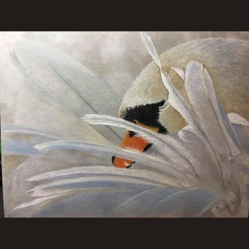 Preening w/Debbie Cushing REPLAY