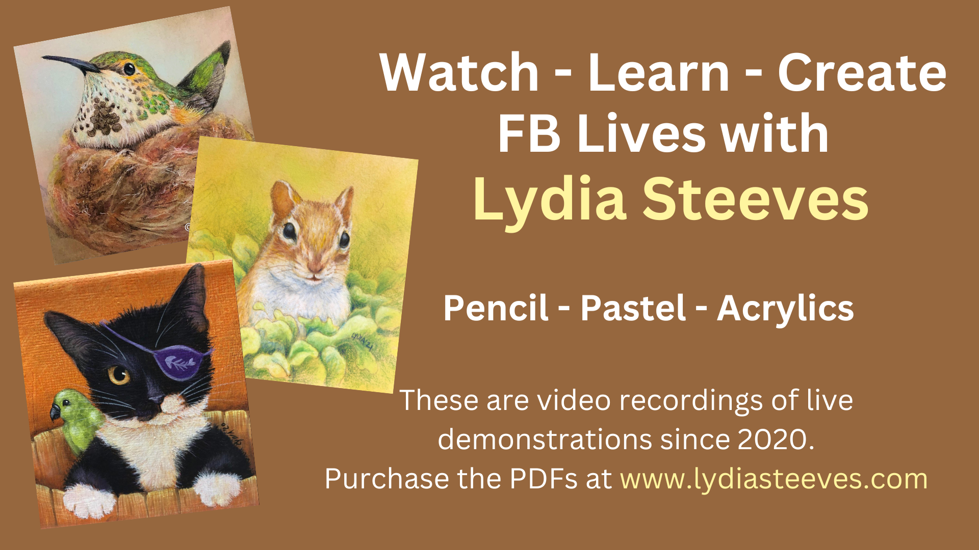 Watch, Learn, Create: Lydia Steeves