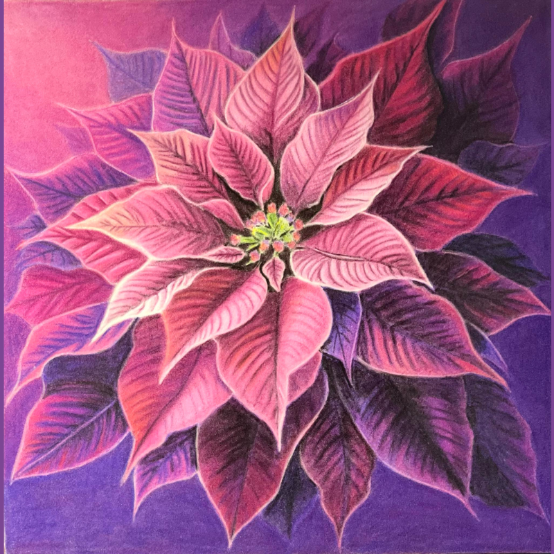 The Gift of Giving w/Debbie Cushing