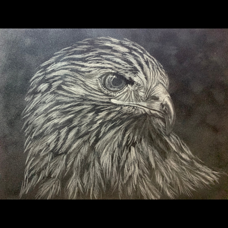 The Hawk w/Debbie Cushing