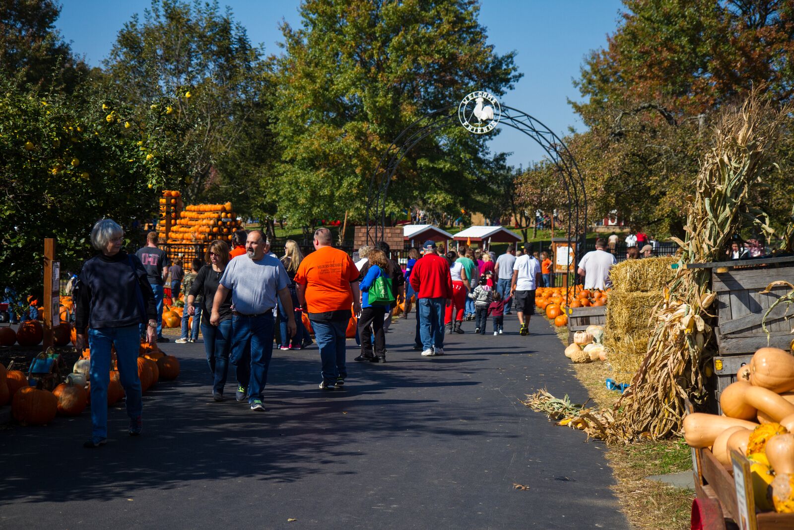 Fall Festival 2022