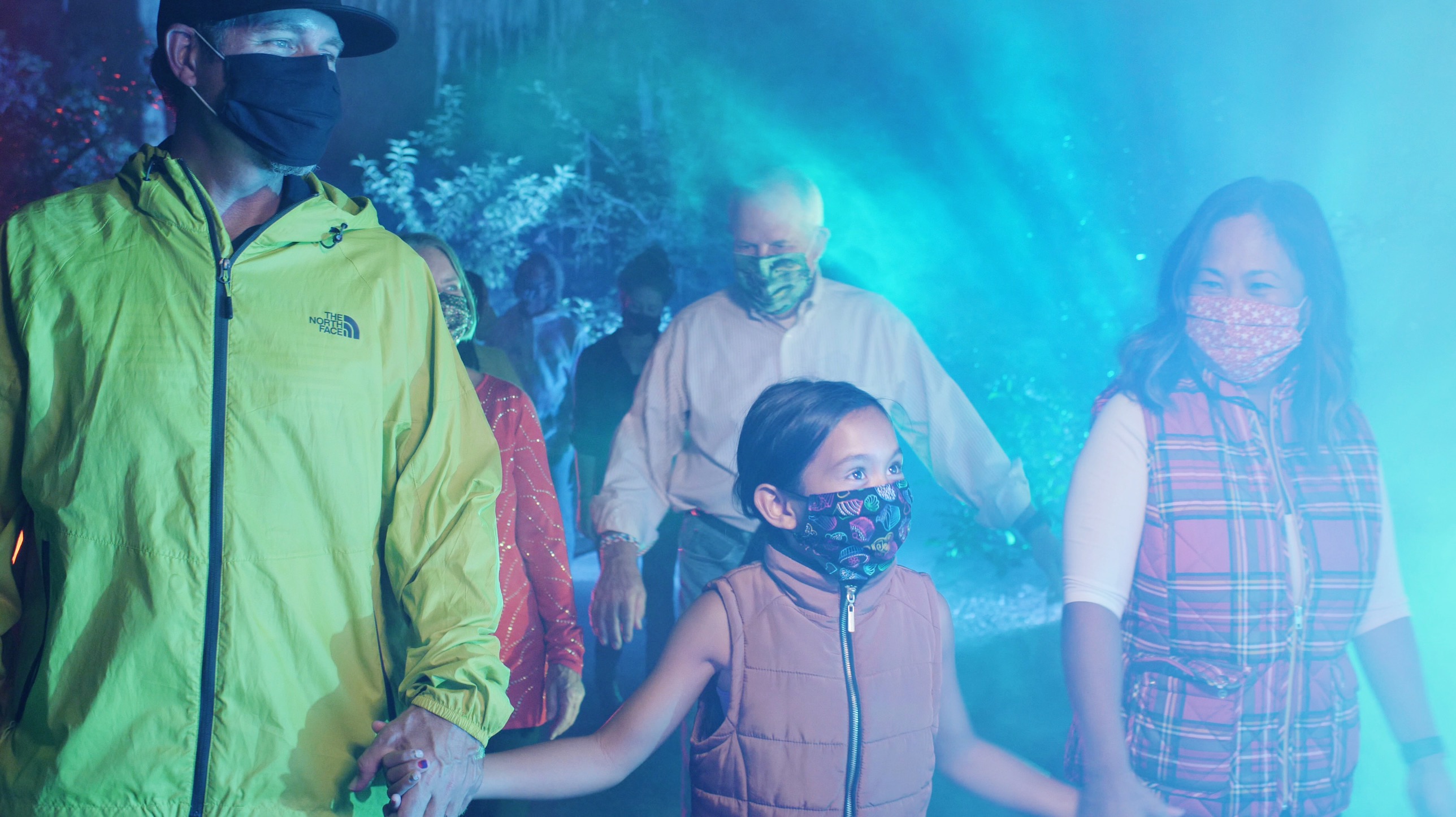 Dazzling Nights : An immersive holiday light experience at Orlando's ...