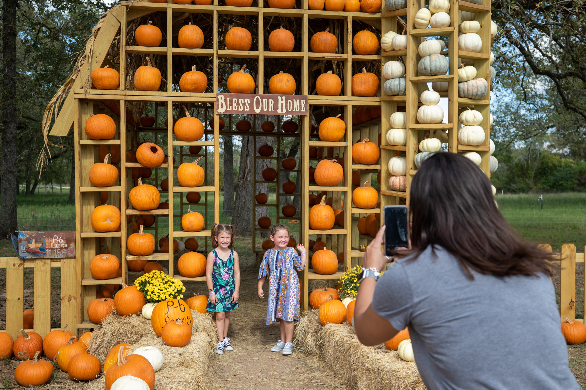 P-6 Farms 2020 Fall Days & Corn Maze