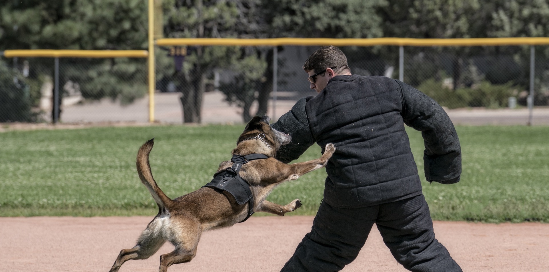 ALECA Payment Portal