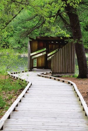 Inspired by Nature: Wildlife Observation Blind