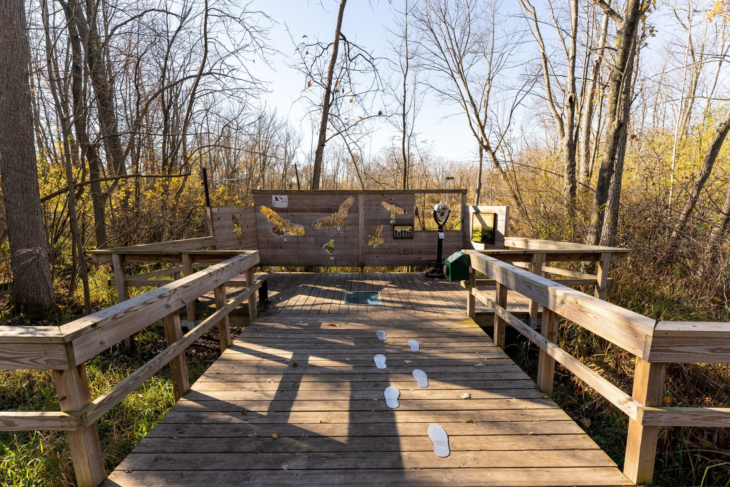 Inspired by Nature: Wildlife Observation Blind