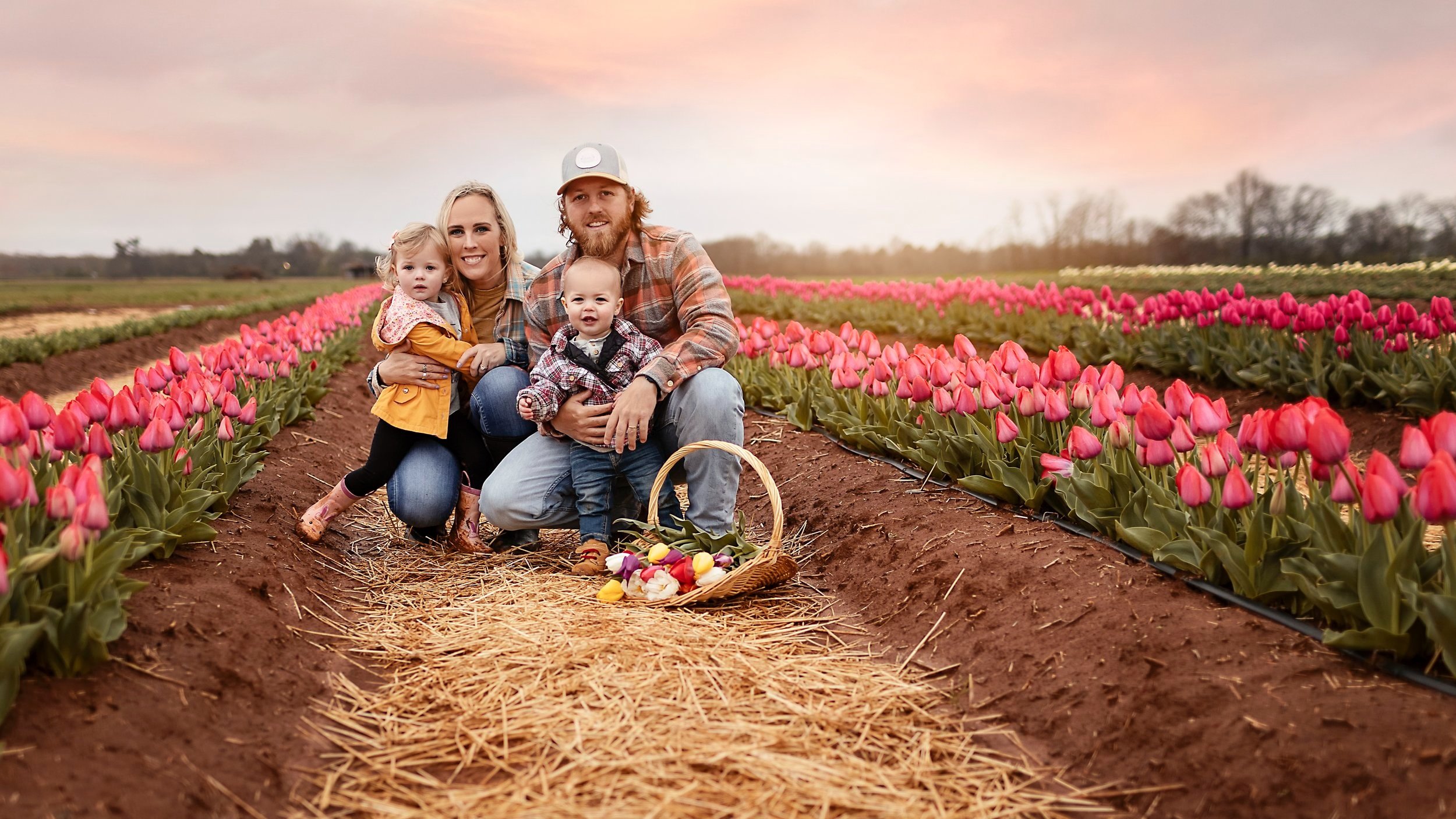 Family Tulips 2025