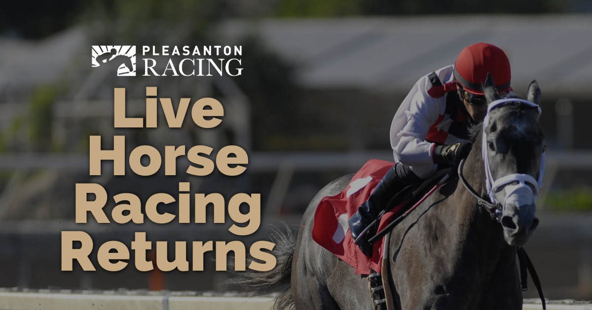 Sky Lounge & Trackside 2021