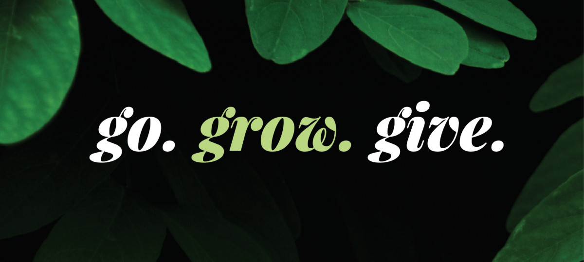 Go. Grow. Give. - Wesleyan Life