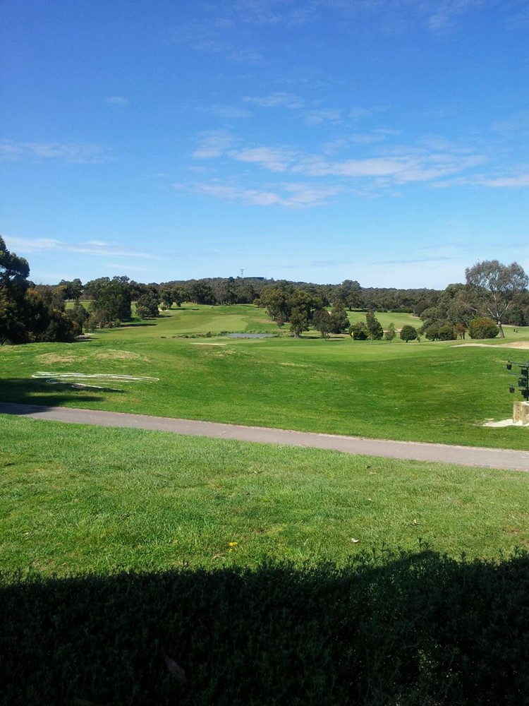 VIP Casino Host for Comps at Yarrambat Park, Victoria