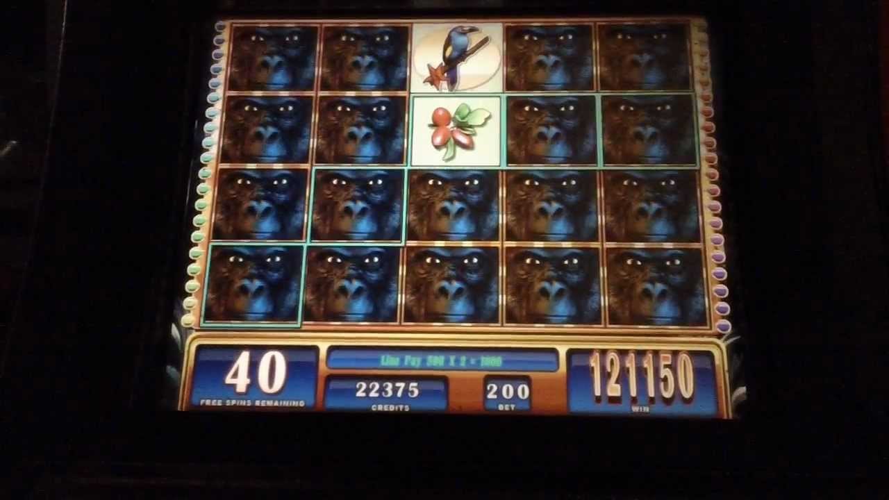 Gorilla Chief Slot Machine by WMS