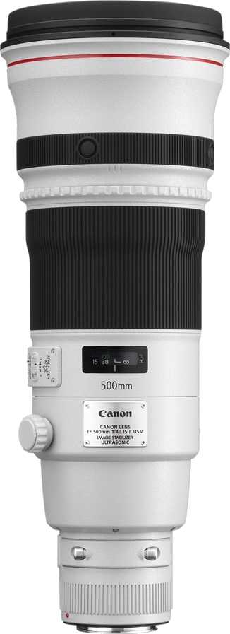 ≫ Canon EF 500mm F/4L IS II USM vs Sigma 500mm F4 DG OS HSM Sport ...