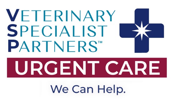 Schedule a Visit | Clockwise.MD