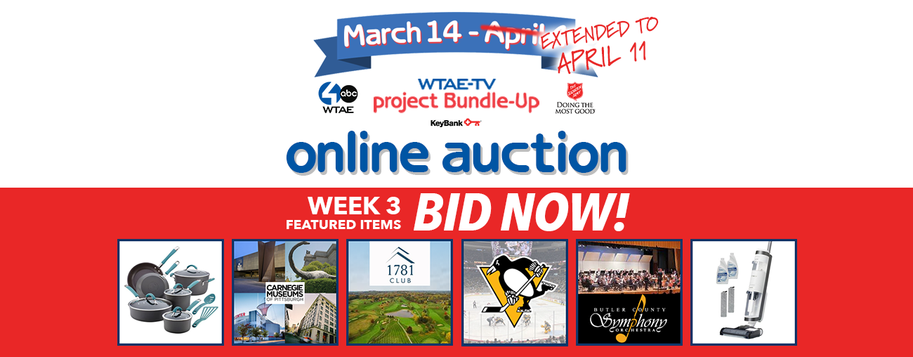 Online Auction - Project Bundle Up