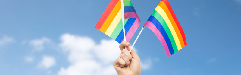 Recommended Resource: Books for LGBTQ Youth and their Families