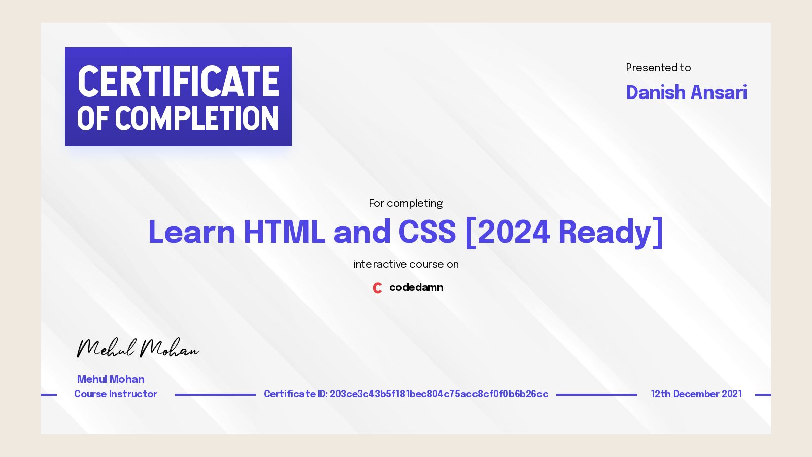 Danish Ansari's certification for Learn HTML and CSS [2024 Ready ...