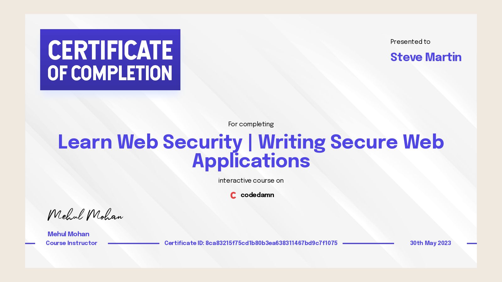 Steve Martin S Certification For Learn Web Security Writing Secure