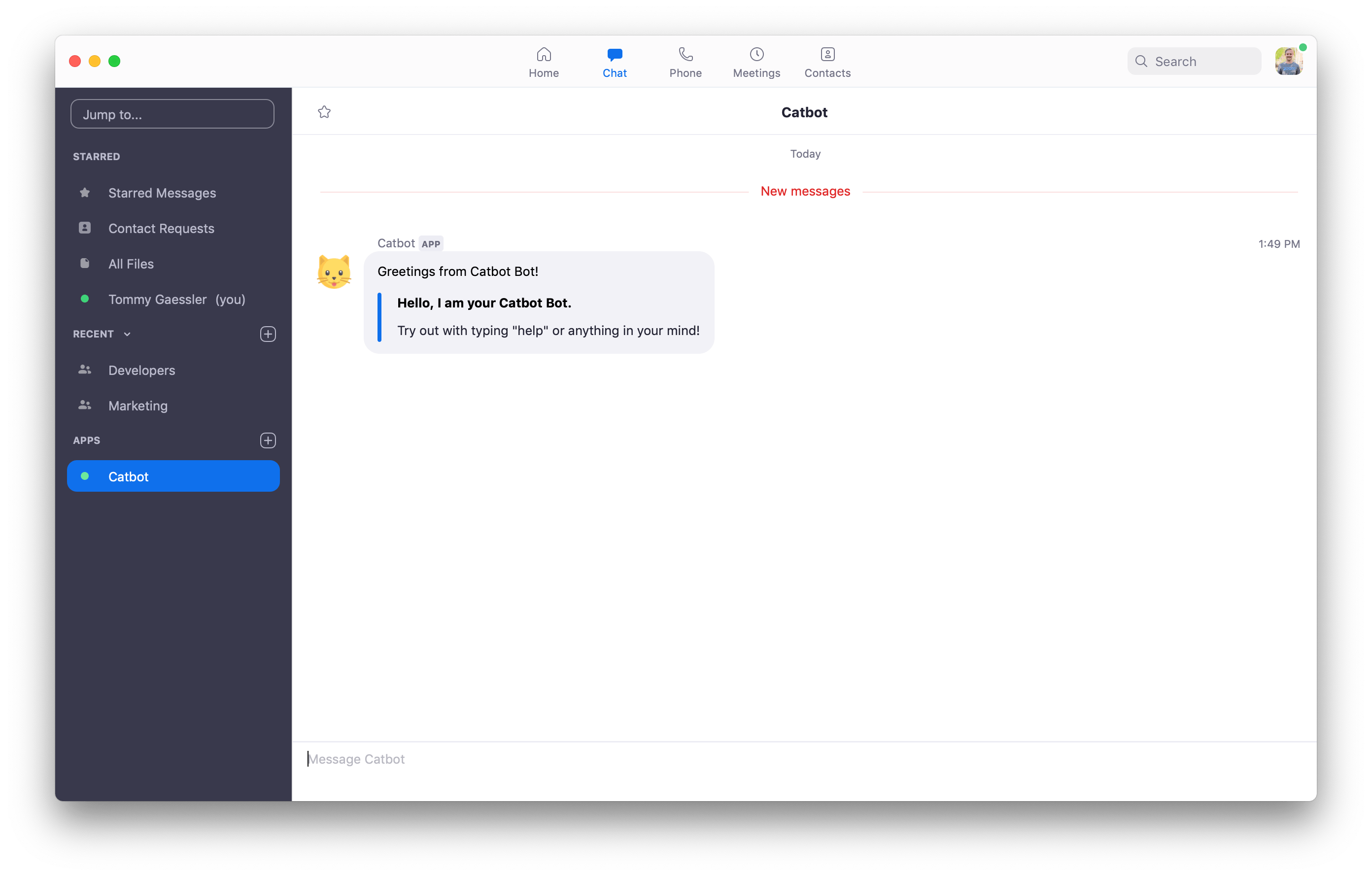 Using The Chatbot Cli Chatbots Documentation