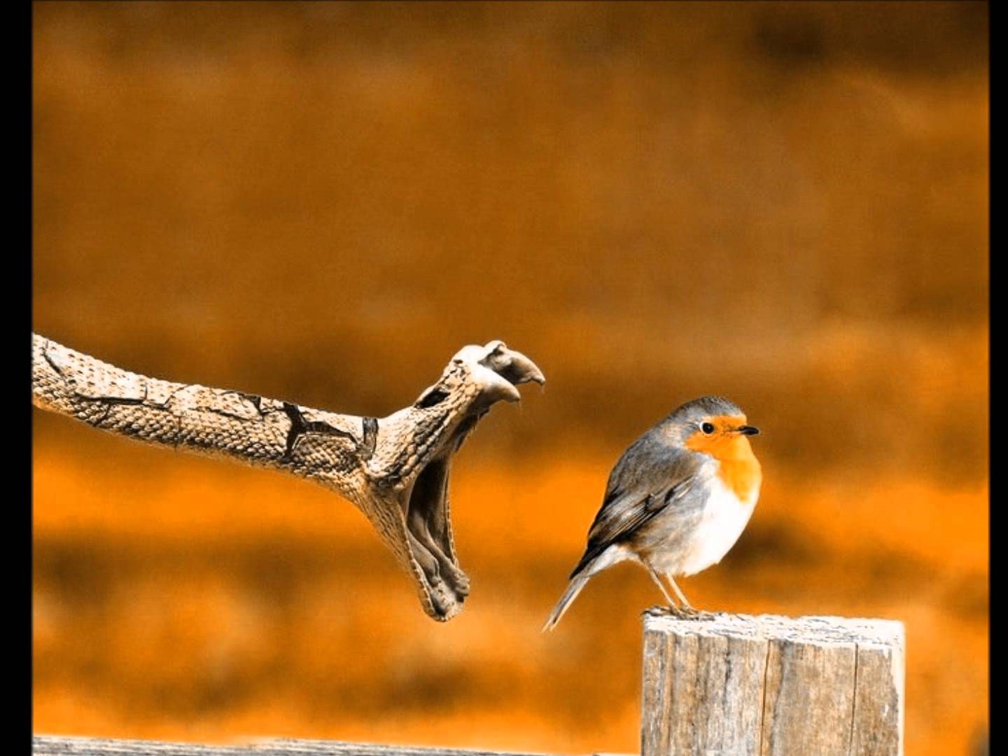 Dramatic Pictures - Page 81 - The Bored Room - The Bore Site