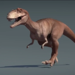 Vidcode: Creative Coding