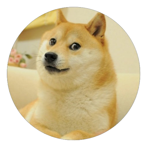 Vidcode: Creative Coding