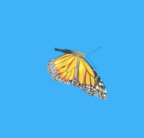 Vidcode: Creative Coding