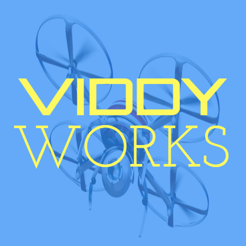 viddy logo | Youzign