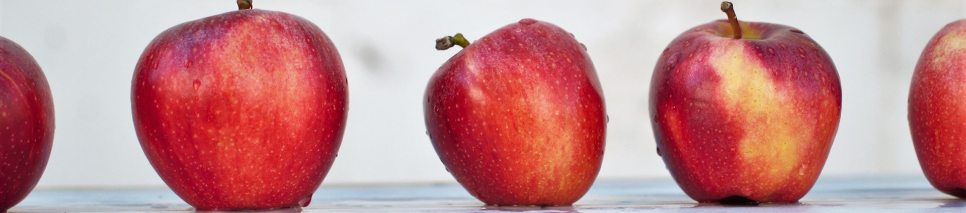 Researching Benefits of Breakfast Consumption in Overweight & Obese ...