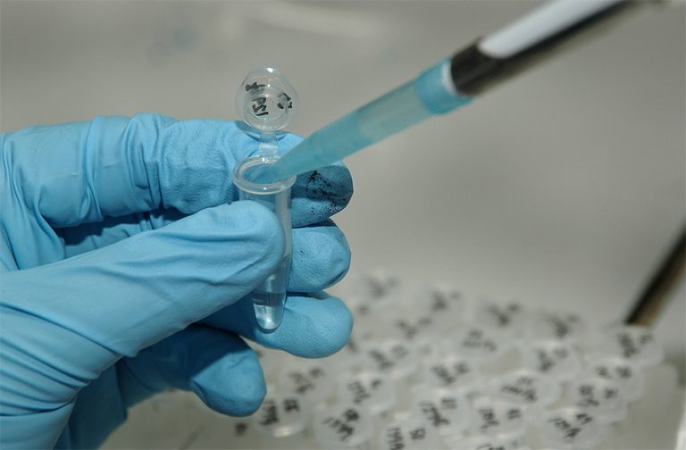 What Is Preventive Healthcare? | George Washington University