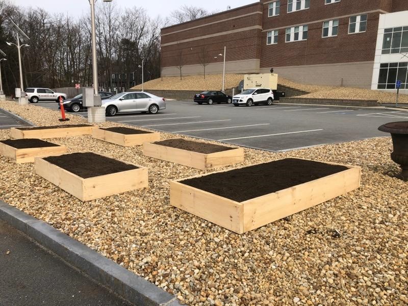 MSW Field Placement: Students Helping Their Community