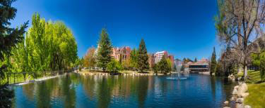 MSW Field Education Program Fact Sheet | University of Nevada, Reno