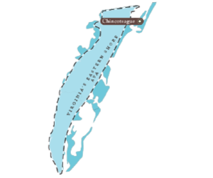 Eastern Shore - Virginia Wine