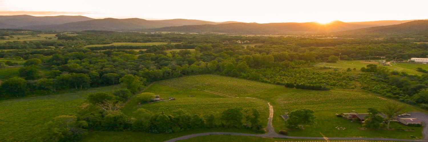 Gadino Cellars - Virginia Wine