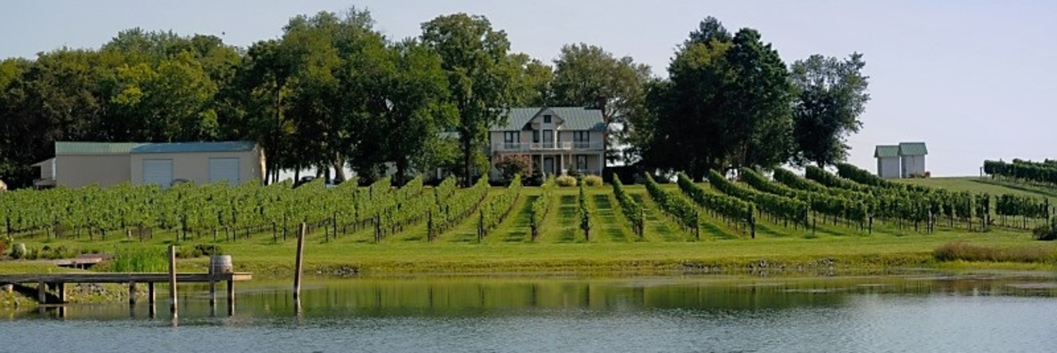 Old House Vineyards - Virginia Wine