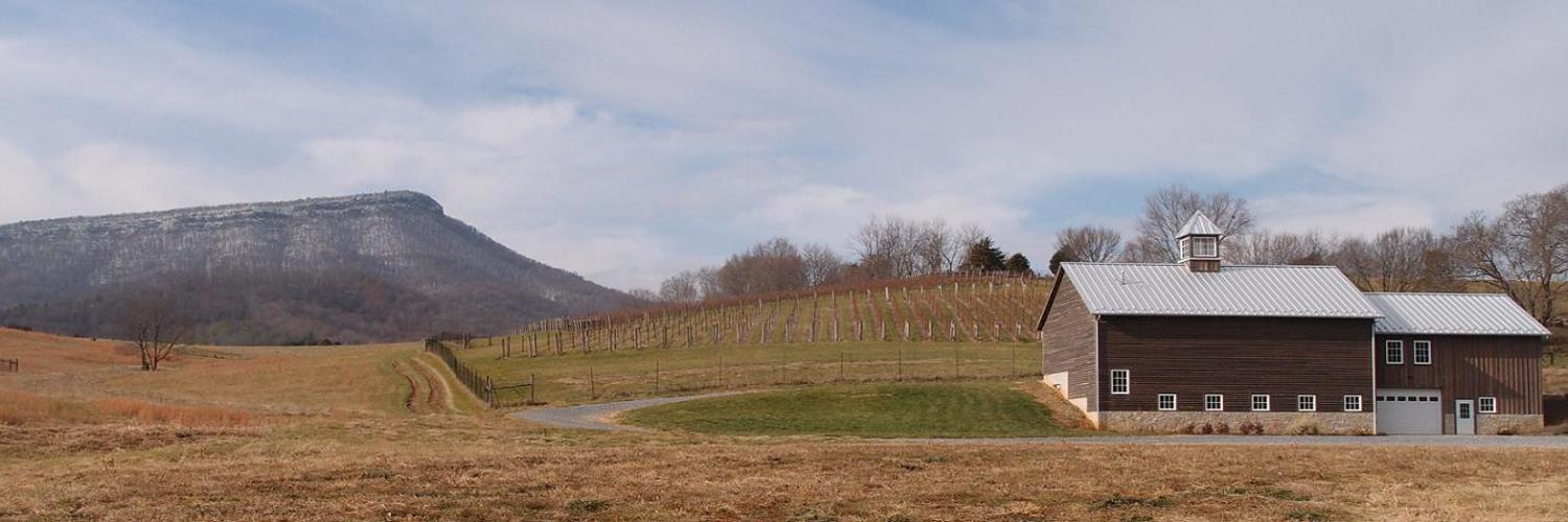 Jump Mountain Vineyard - Virginia Wine