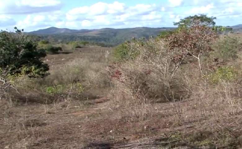 Vemver Cidade | Adolescente consegue fugir de lixão após levar tiros e ...